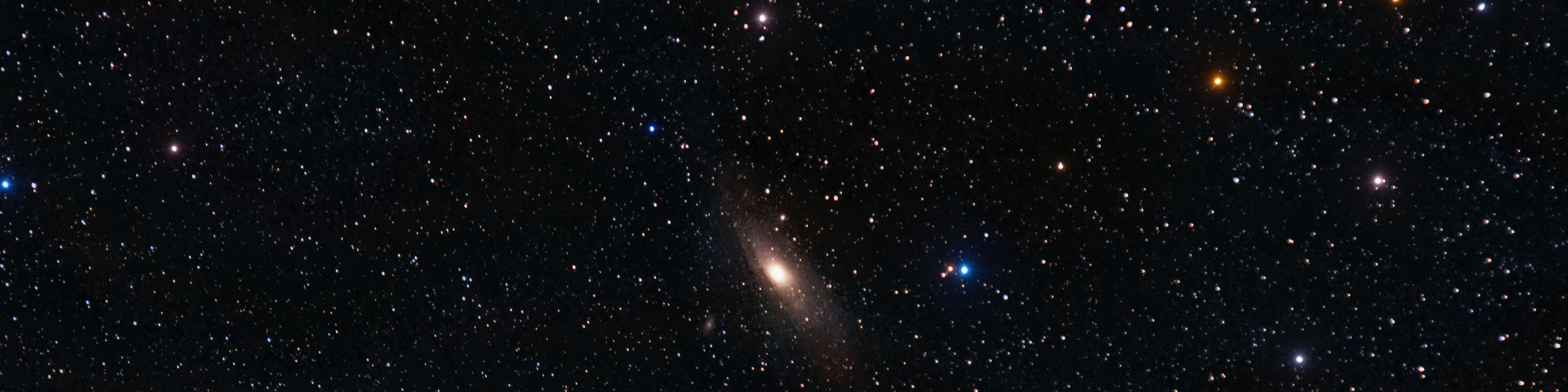 Interview with Andromeda about Being an LGBTQ Adolescent, and Florida’s ...