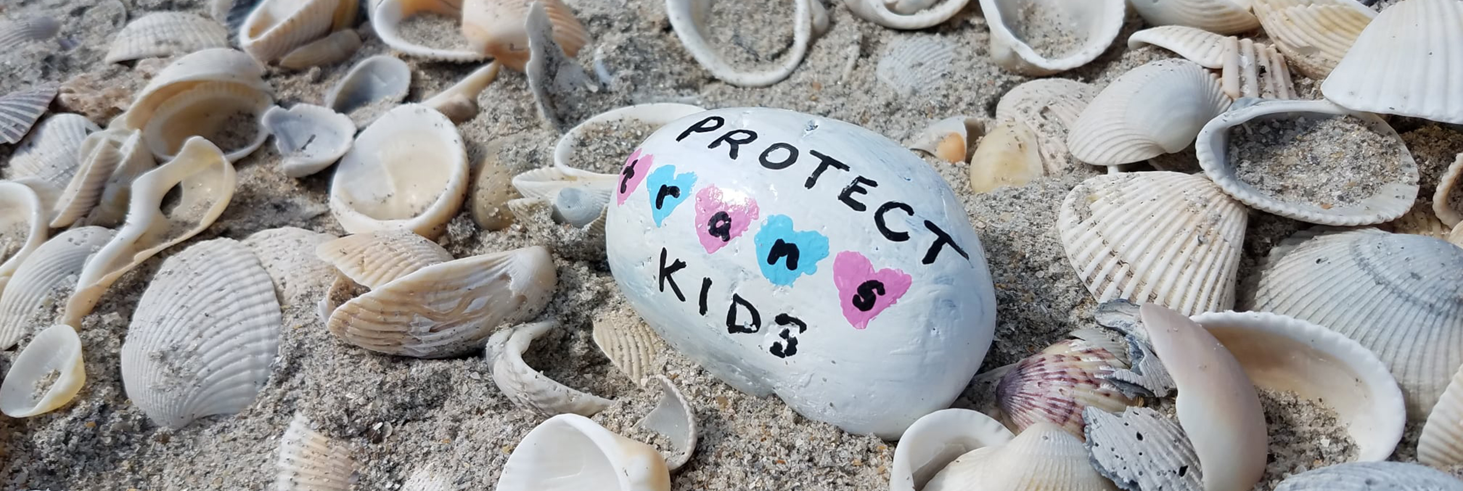 The War on Transgender Kids – Guide to Creating Safe and Welcoming Schools